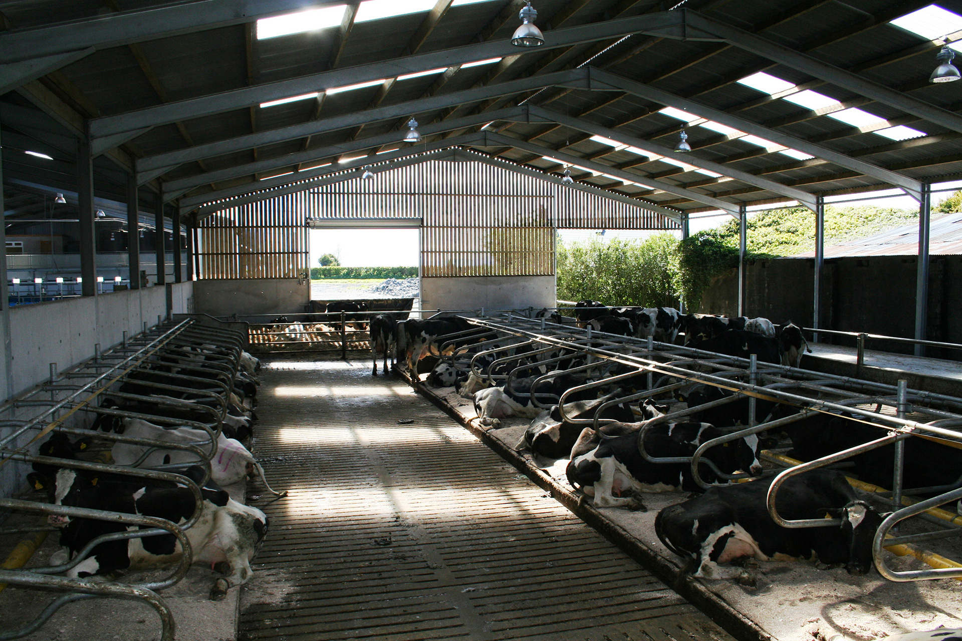 Livestock Housing Steele Family - Moore Concrete