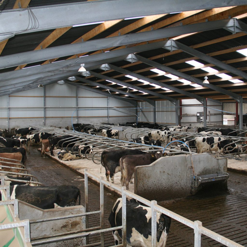 Livestock Housing Alan & Tomas Boyle - Moore Concrete