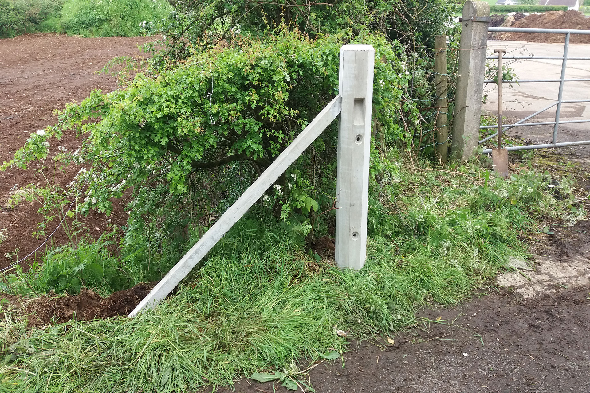 Ox Strain Posts | Concrete Specialists | Moore Concrete