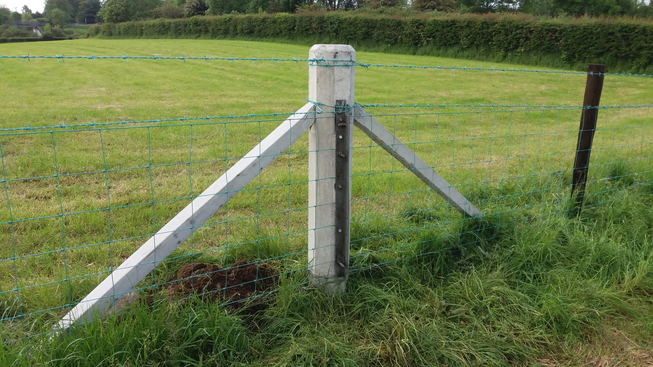 Ox Strain Posts | Concrete Specialists | Moore Concrete