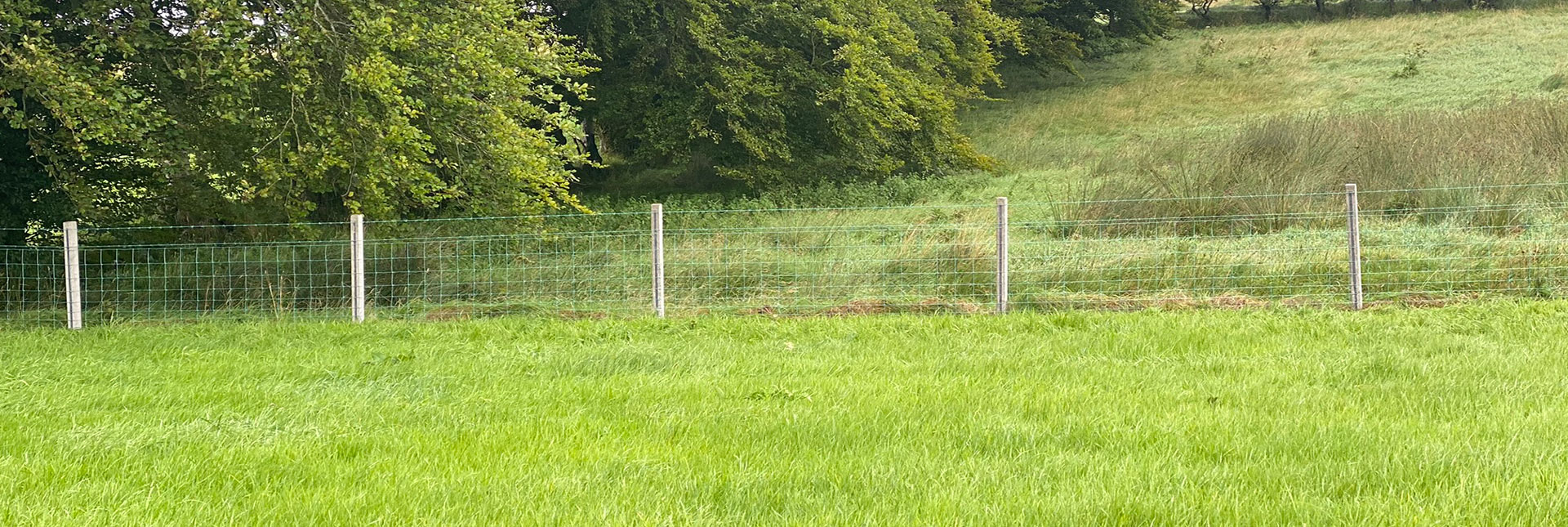 Ox Post John Henderson - Moore Concrete