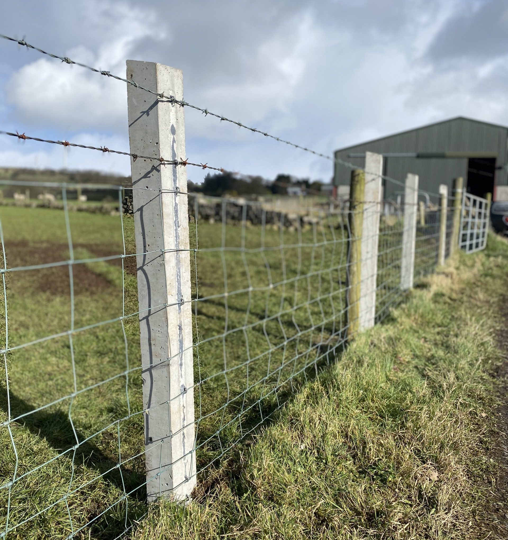 Ox Strain and Ox Post Stephen Kennedy - Moore Concrete
