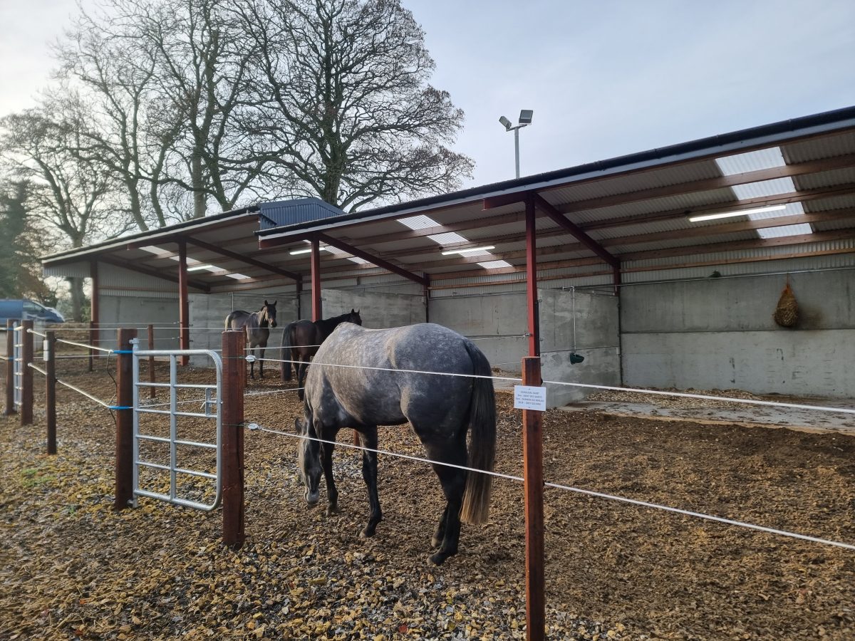 Philip McBurney Racing – A New Centre of Horse Training Excellence ...